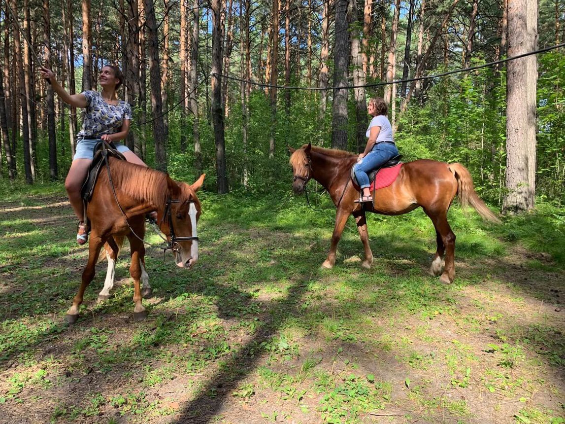 Конная прогулка для двоих. Конный клуб Konipark в Красноярске