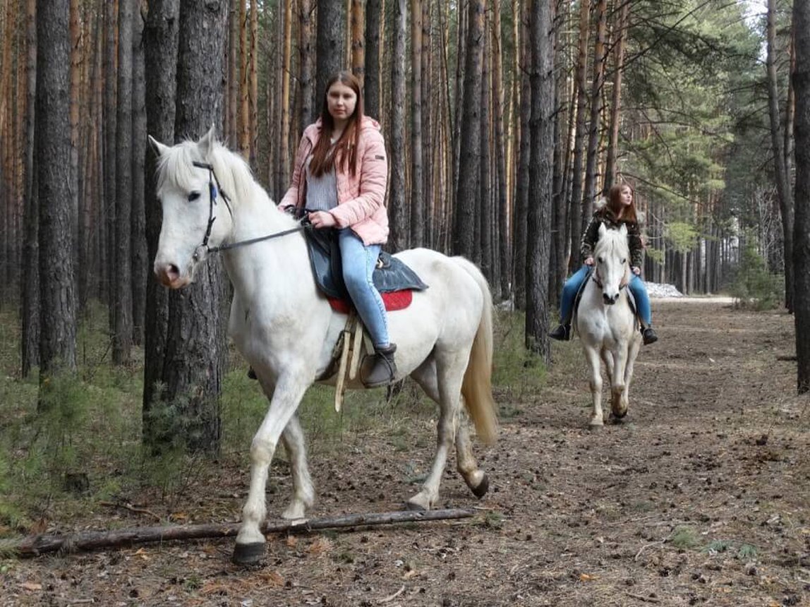 Конная прогулка для двоих. Конный клуб Konipark в Красноярске